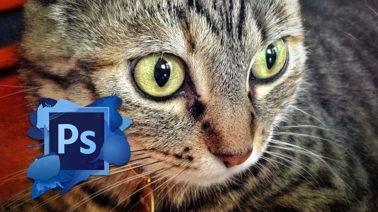 Learn Photoshop - Digital Photo Mentor