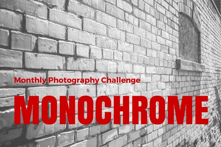 Monthly Challenge - Shoot in Monochrome Learn to See Light