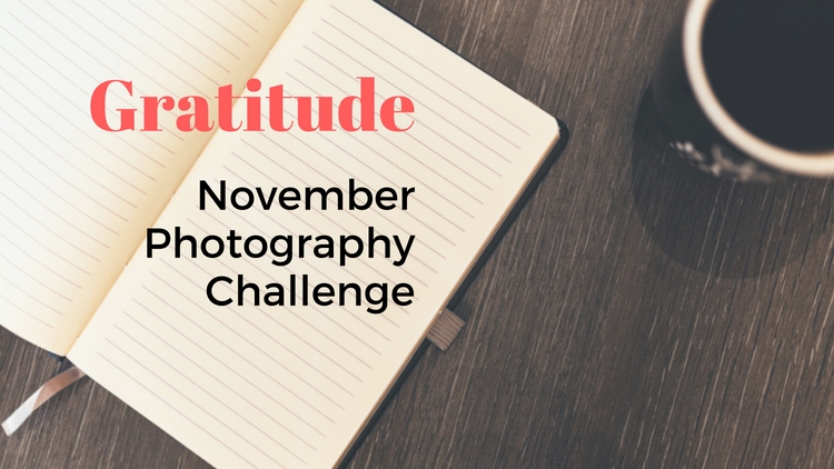 Gratitude - November Photography Challenge - Digital Photo Mentor