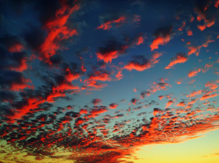 How to Develop the Art of Seeing Through Mindful Photography - Digital ...