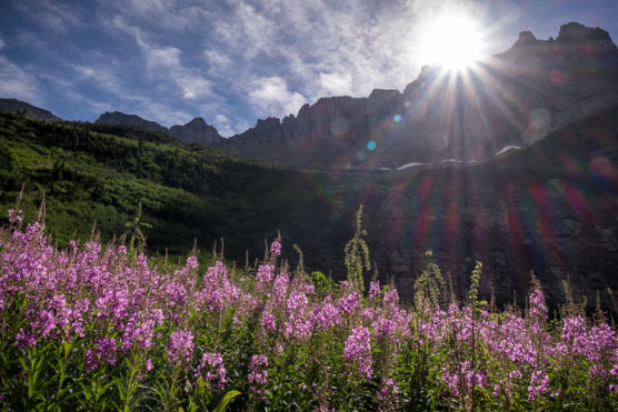 7 Tips for Improving Your Spring Photography - Digital Photo Mentor