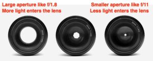 What to do When Your Camera Won't Focus - Digital Photo Mentor