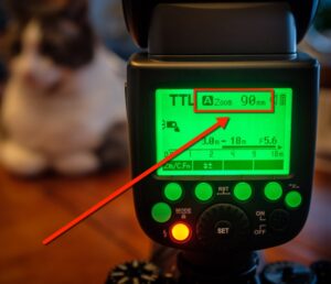 How to Use Your Flash - What all the Buttons and Settings Mean ...