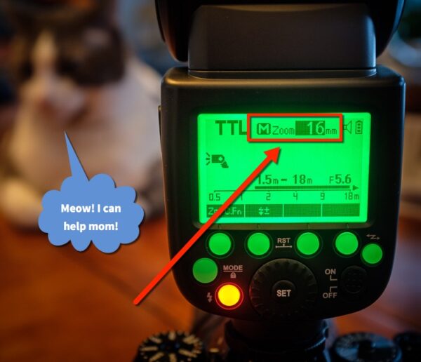How to Use Your Flash - What all the Buttons and Settings Mean ...