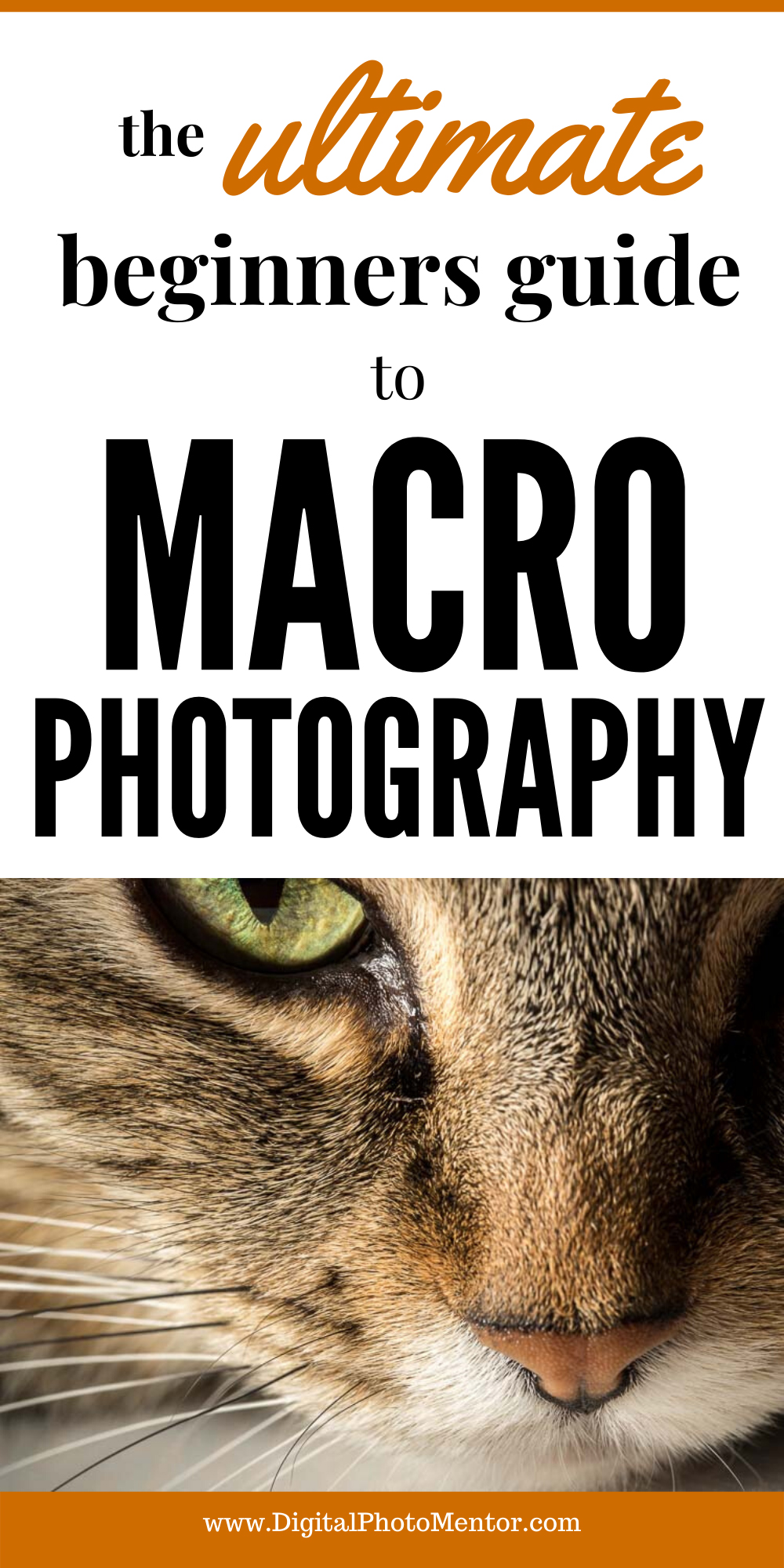 The Ultimate Guide Macro Photography - How to photograph small things