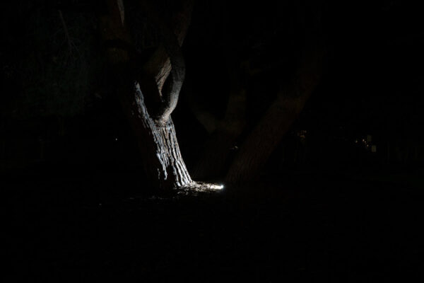 Light Painting Experiments to Improve Your Photography - Digital Photo ...
