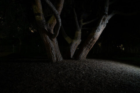 Light Painting Experiments to Improve Your Photography - Digital Photo ...