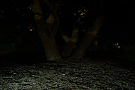 Light Painting Experiments to Improve Your Photography - Digital Photo ...