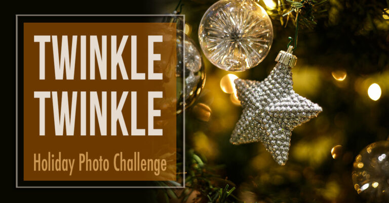 Holiday Photography Challenge #1 - Twinkle Twinkle Little Lights ...