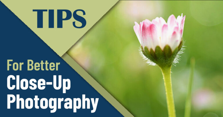 Macro Photography Tutorials, Tips and Ideas | Digital Photo Mentor