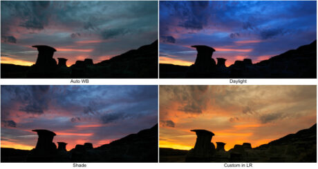 How to Use Camera White Balance to Improve Your Photos
