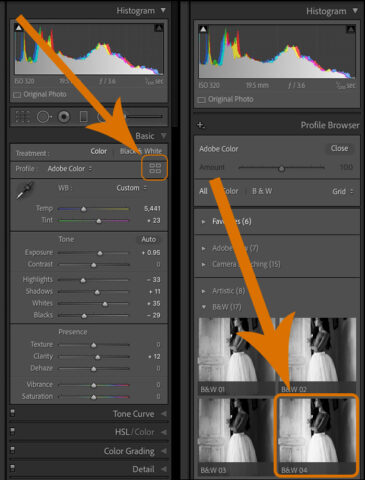 Getting Creative with Black and White Photos in Lightroom Classic ...