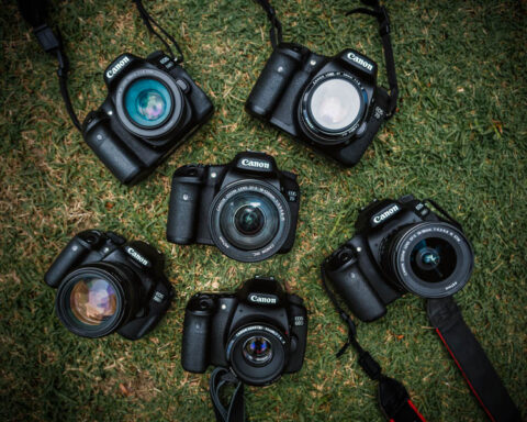 Confused by Common Photography Terms? Don't Worry, Help Is Here ...