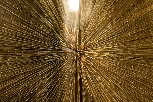 How 30 Days of Wabi-Sabi Photography Transforms Technical Obsession ...