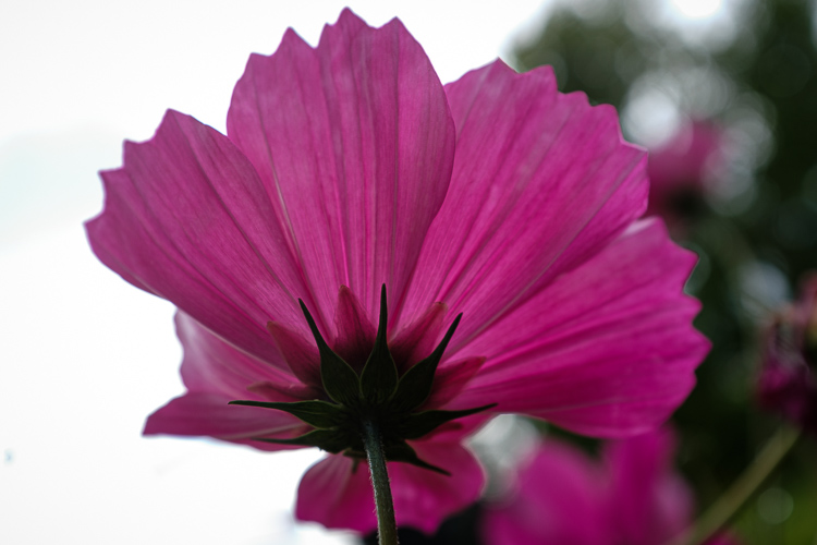What Is Exposure Compensation and How To Use It Properly